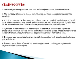 Cementum | PPTX