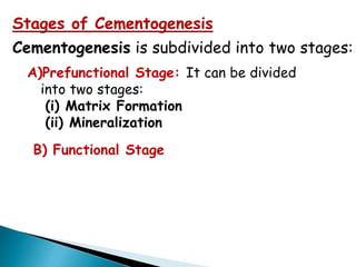 Cementum | PPTX