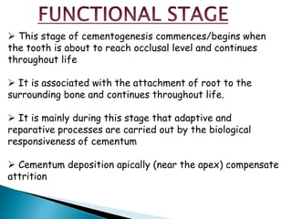 Cementum | PPTX