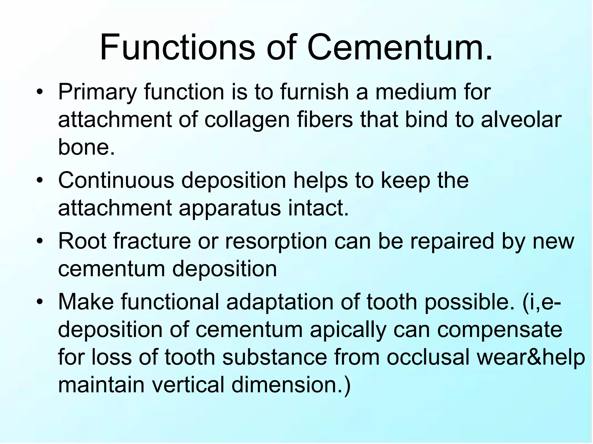 Cementum-20207231215390.ppt