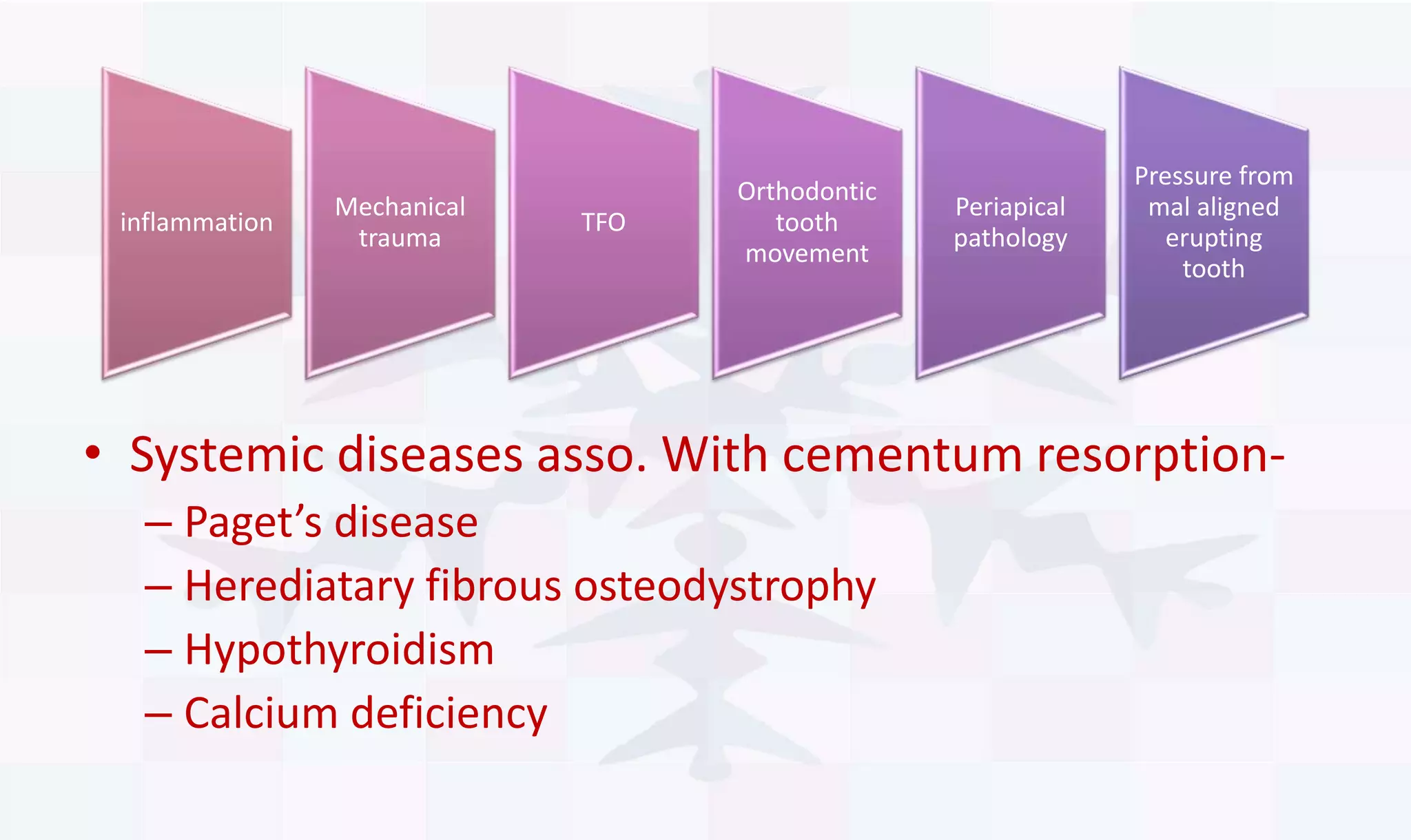 Cementum | PPTX