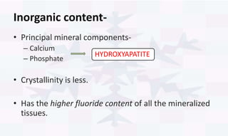 Cementum | PPT