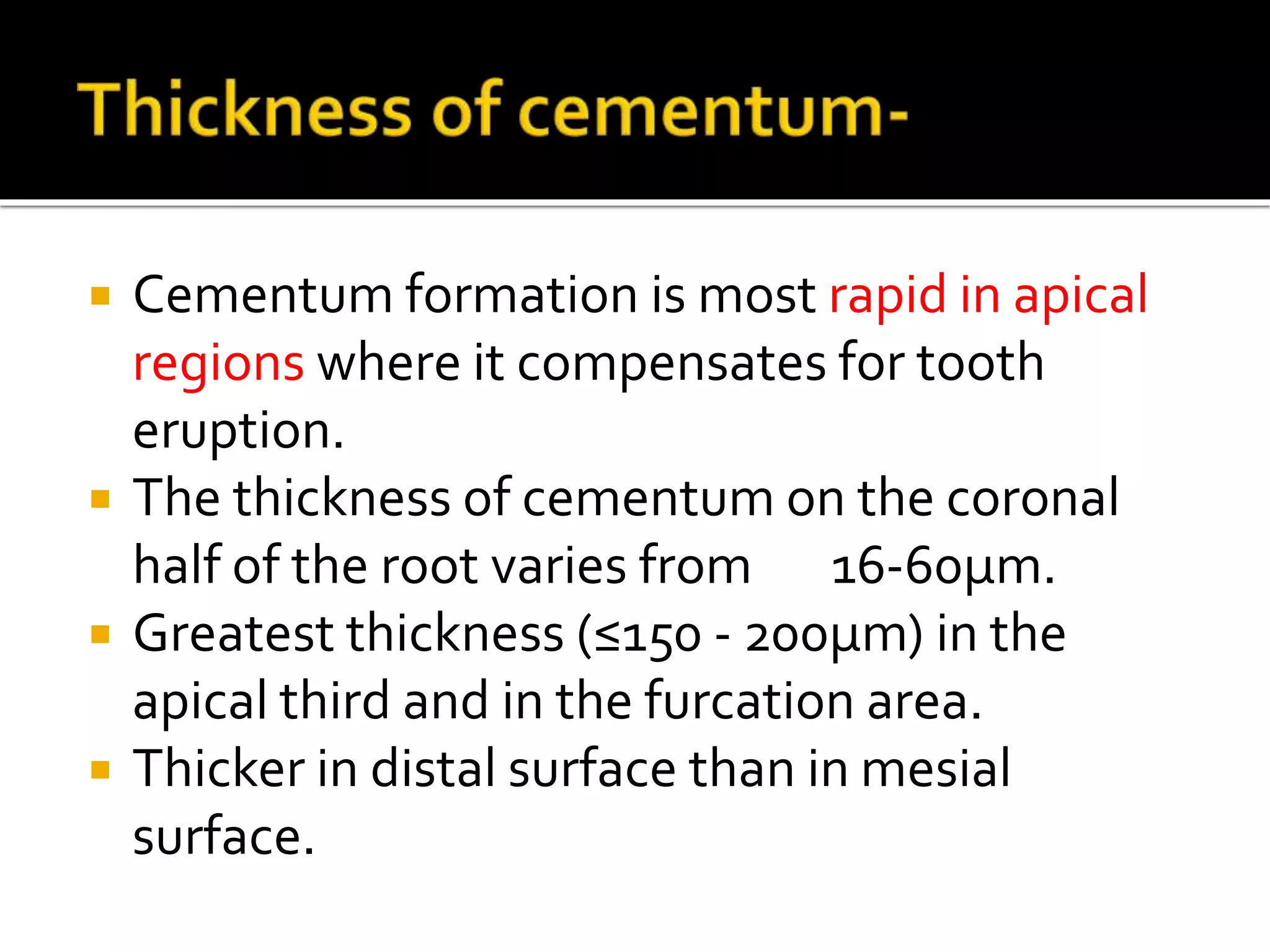 Cementum and its development | PPTX