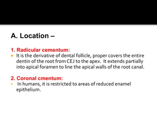 Cementum and its development | PPTX