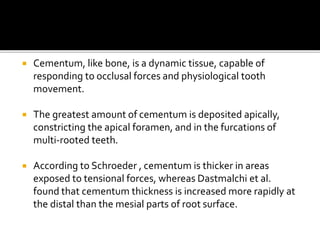 Cementum and its development | PPTX