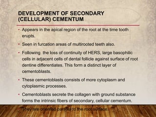 CEMENTUM | PPTX