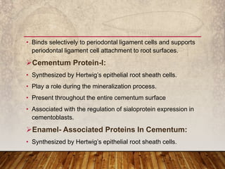 CEMENTUM | PPTX