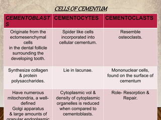 CEMENTUM | PPTX