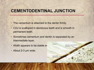CEMENTUM | PPTX