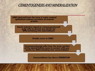 CEMENTUM | PPTX