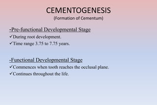Cementum | PPTX