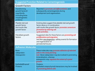 cementum.pptx