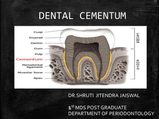 cementum.pptx