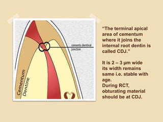 cementum.pptx