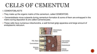 CEMENTUM .pptx