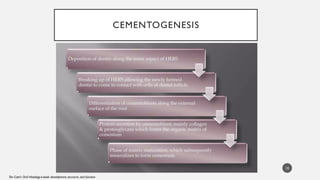 CEMENTUM clinical significance and clinical significance | PPTX
