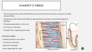 CEMENTUM clinical significance and clinical significance | PPTX