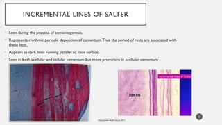 CEMENTUM clinical significance and clinical significance | PPTX