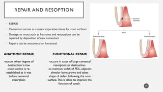 CEMENTUM clinical significance and clinical significance | PPTX