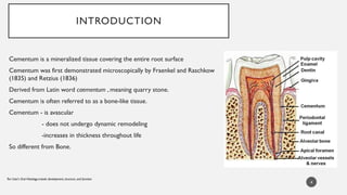 CEMENTUM clinical significance and clinical significance | PPTX