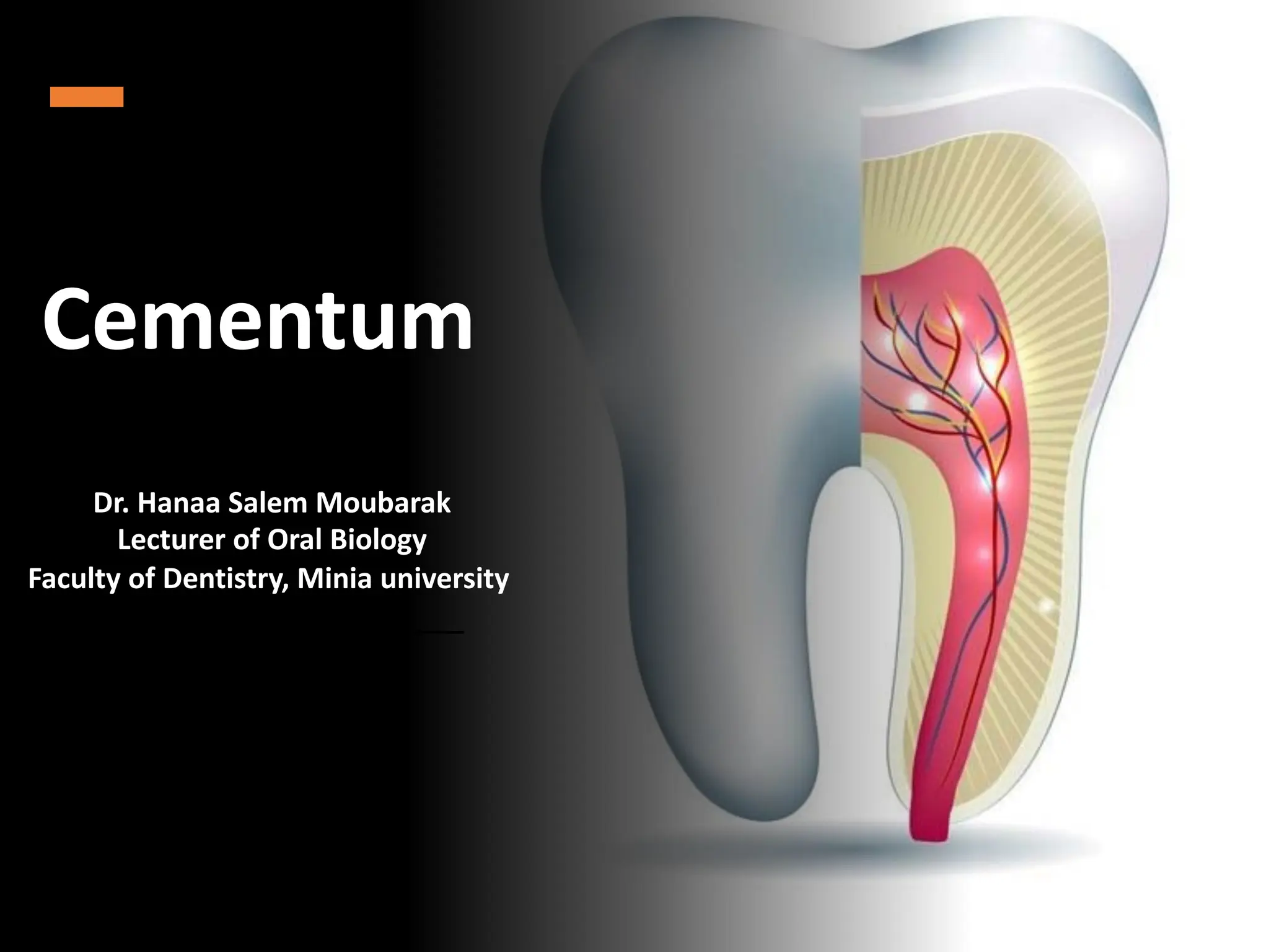cementum detailed histology and types .pdf