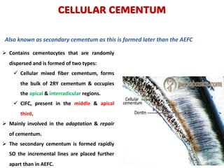 cementum detailed histology and types .pdf