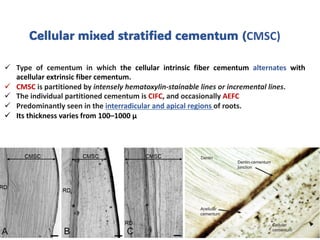 cementum detailed histology and types .pdf