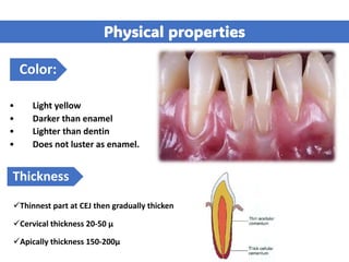 cementum detailed histology and types .pdf