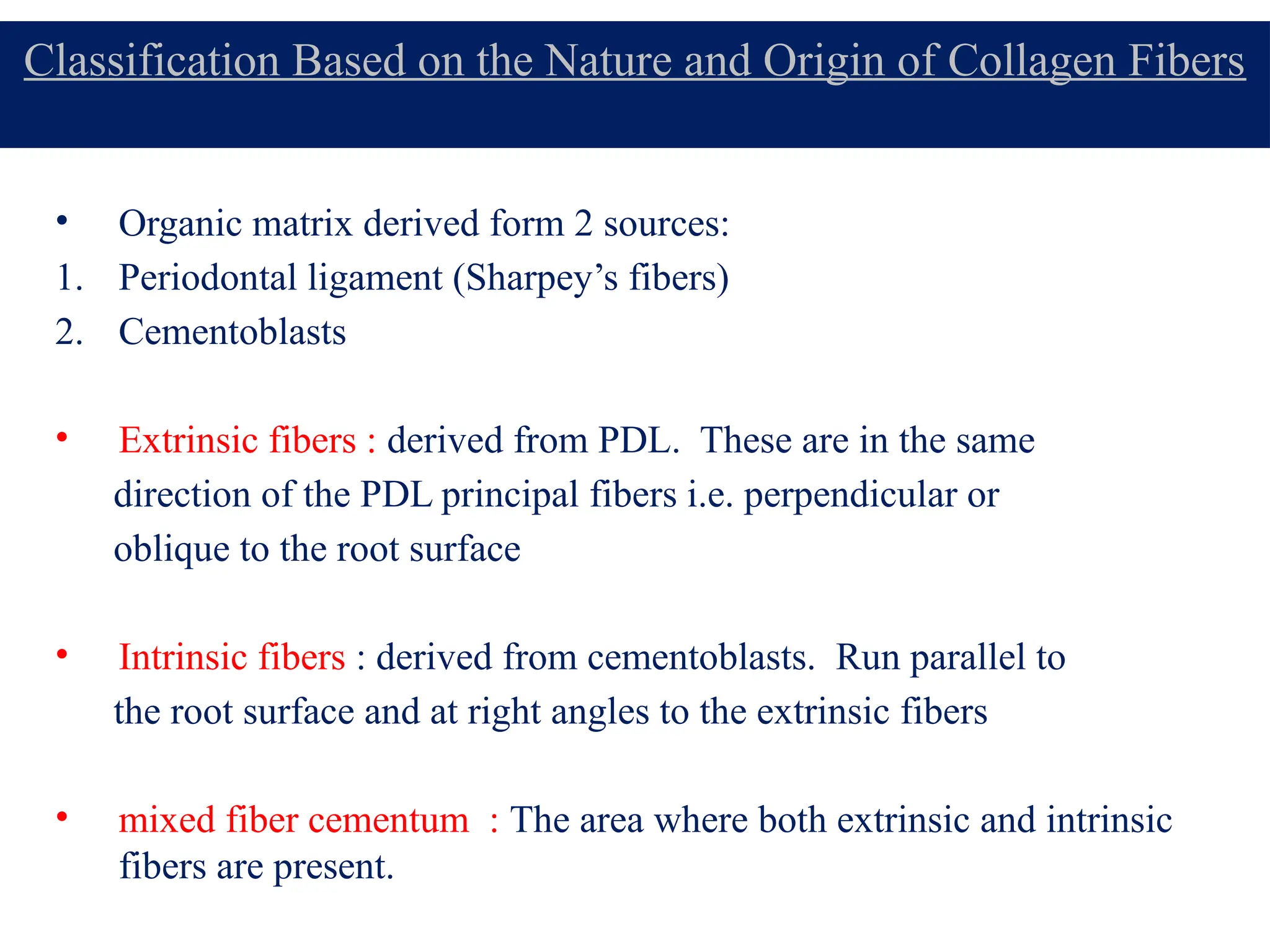 cementum.pptx cementum presentation oral biology | PPTX