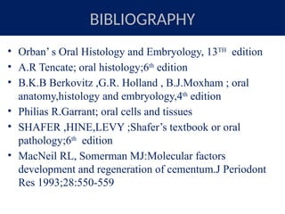 cementum.pptx cementum presentation oral biology | PPTX