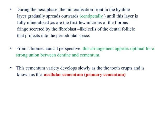 cementum.pptx cementum presentation oral biology | PPT
