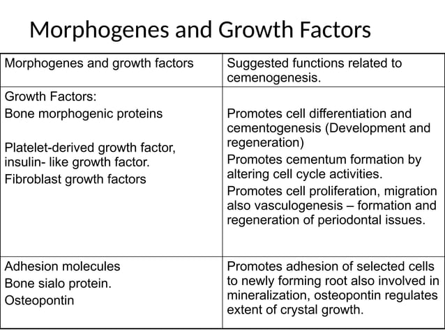 cementum.pptx cementum presentation oral biology | PPT