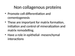 Cementum and its types and abnormalities caused in cementum | PPTX