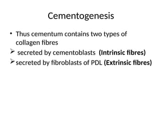 Cementum and its types and abnormalities caused in cementum | PPTX