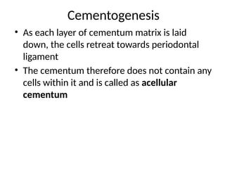 Cementum and its types and abnormalities caused in cementum | PPTX