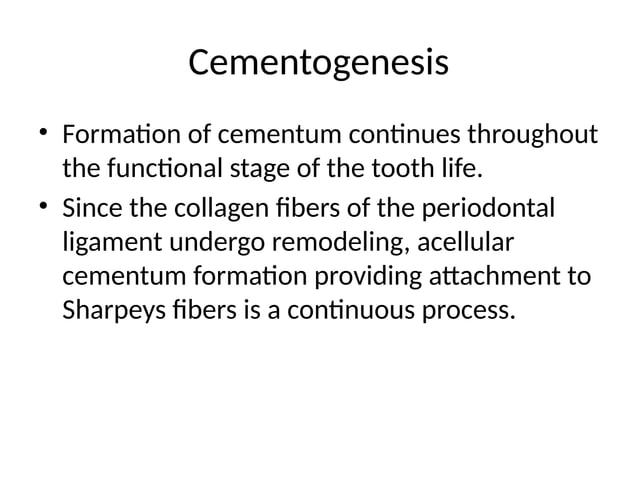 Cementum and its types and abnormalities caused in cementum | PPTX