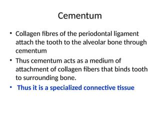 Cementum and its types and abnormalities caused in cementum | PPTX