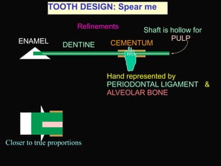 Cementum study in periodontics and perio.ppt