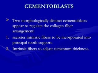 CEMENTUM Powerpoint 2025 important reas it | PPT
