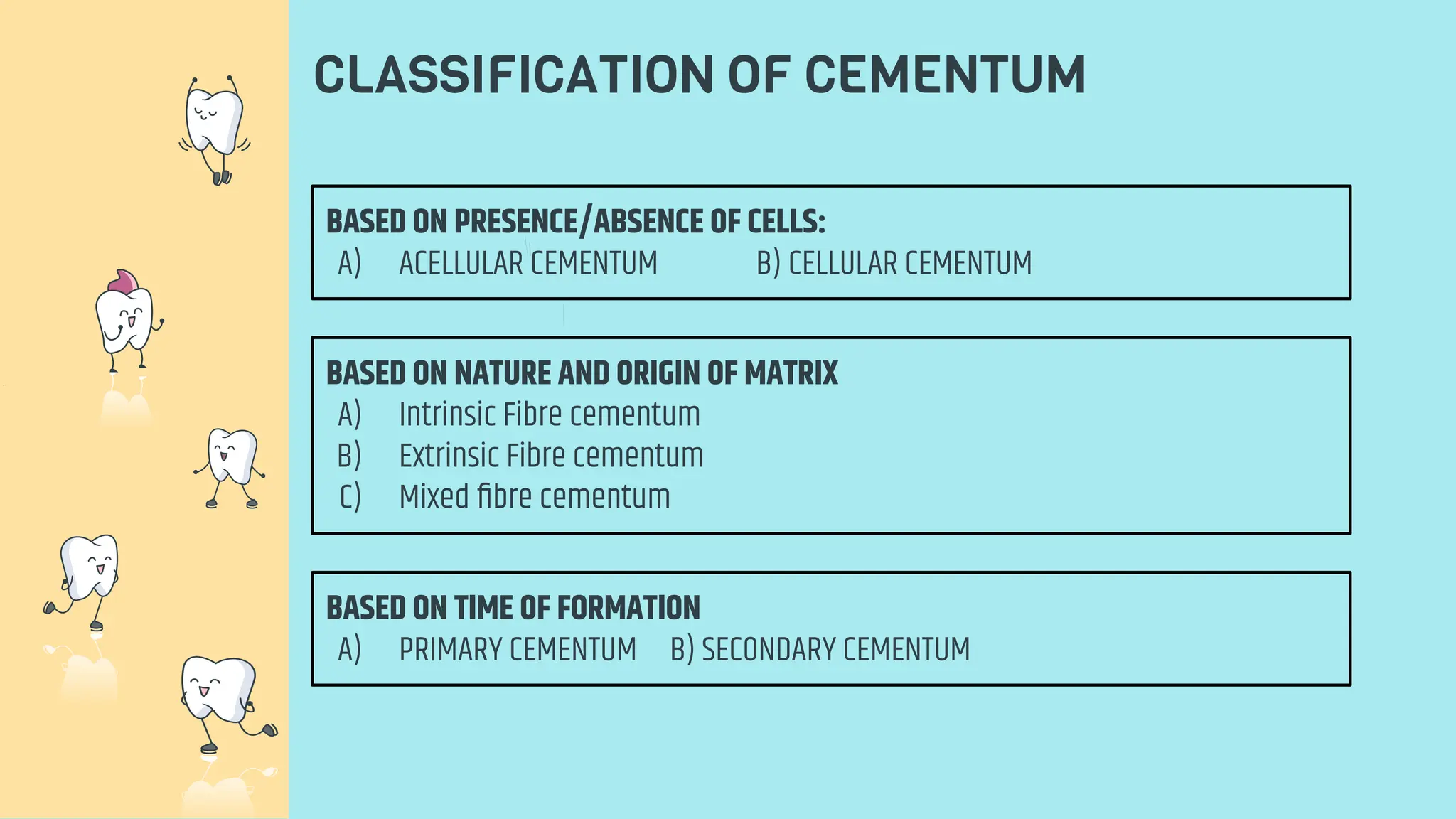 CEMENTUM dental anatomy and dental histology | PDF