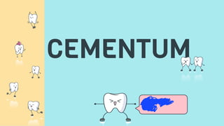 CEMENTUM dental anatomy and dental histology | PDF