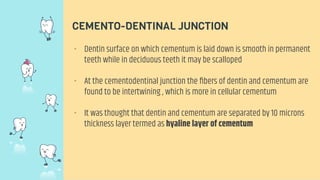 CEMENTUM dental anatomy and dental histology | PDF