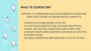 CEMENTUM dental anatomy and dental histology | PDF