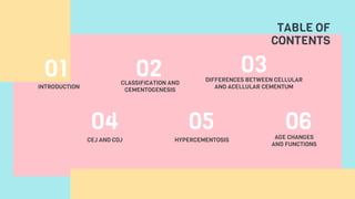 CEMENTUM dadh anatomy histolgy pathology | PDF