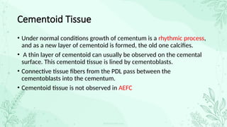 CEMENTUM anatomy and histology in oral anatomy | PPTX