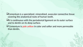 CEMENTUM anatomy and histology in oral anatomy | PPTX