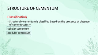 CEMENTUM anatomy and histology in oral anatomy | PPTX