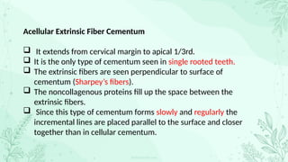 CEMENTUM anatomy and histology in oral anatomy | PPTX