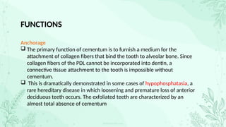 CEMENTUM anatomy and histology in oral anatomy | PPTX