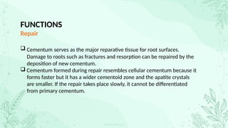 CEMENTUM anatomy and histology in oral anatomy | PPTX